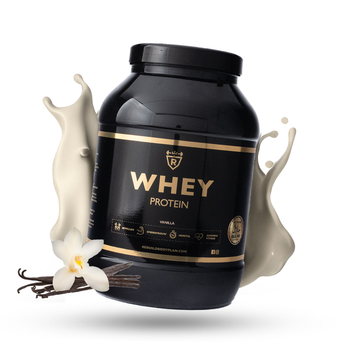 EIWITTEN/SHAKES – Rebuild Body Plan